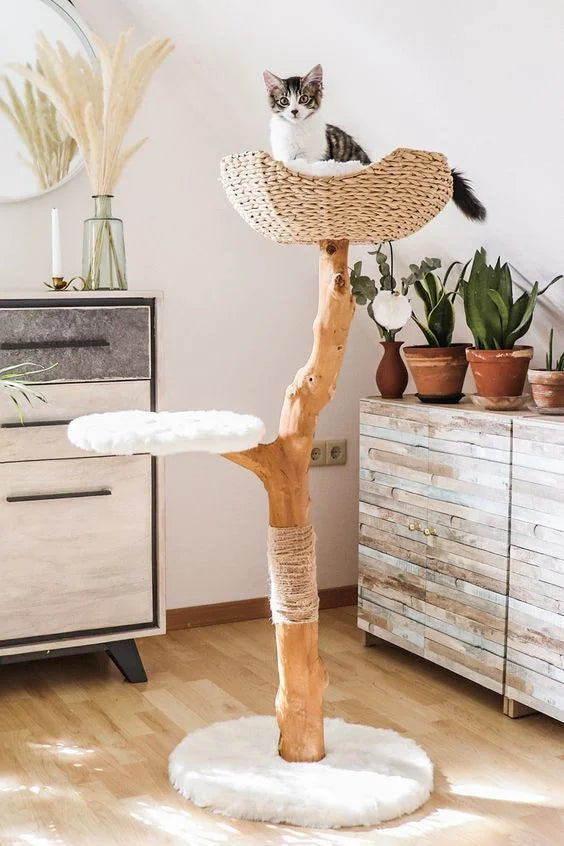 Wie man einen einfachen DIY-Katzenbaum macht: Ein einfacher Leitfaden ...
